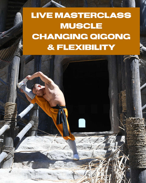Yi Jin Jing ( Muscle Tendon Changing) Qigong & Ultimate Flexibility ...