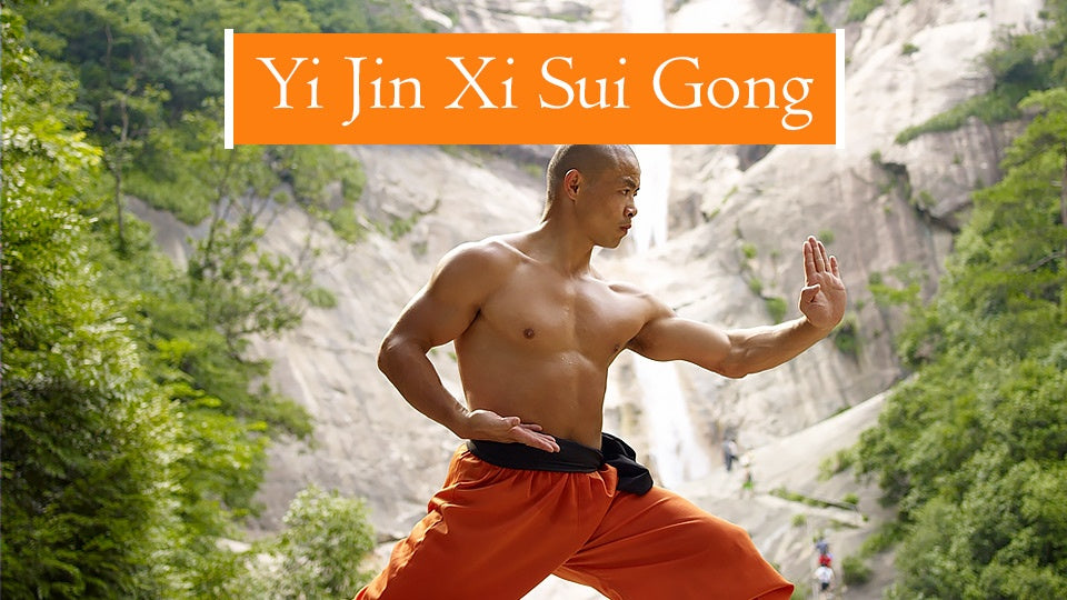 Yi Jin Xi Sui Gong - Muscle/ Tendon Bone Marrow Cleansing – Shifu Yan Lei