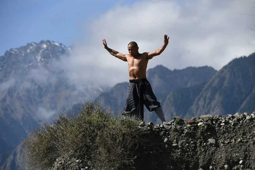Iron Body Training Techniques – Shifu Yan Lei