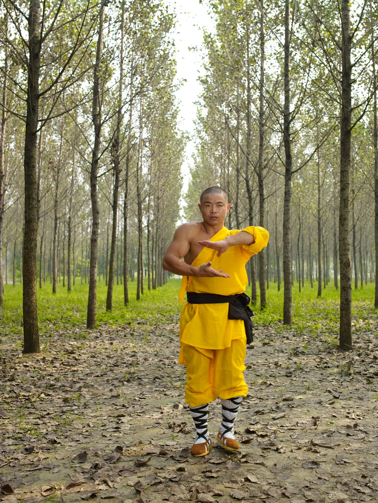 Rou Quan ( Soft Fist) - Shaolin Tai Chi – Shifu Yan Lei