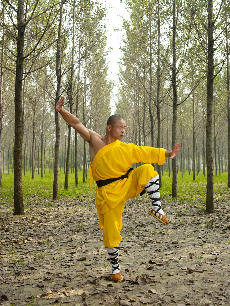 Rou Quan (Soft Fist) - Live Masterclass – Shifu Yan Lei