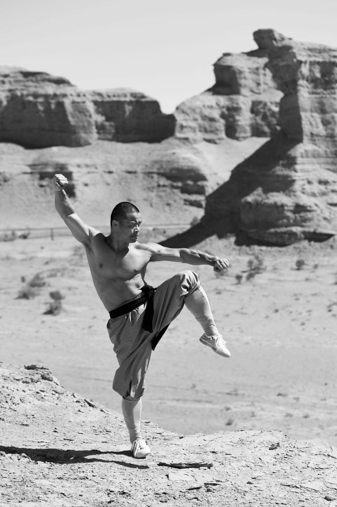 Fighting Meditation – Shifu Yan Lei