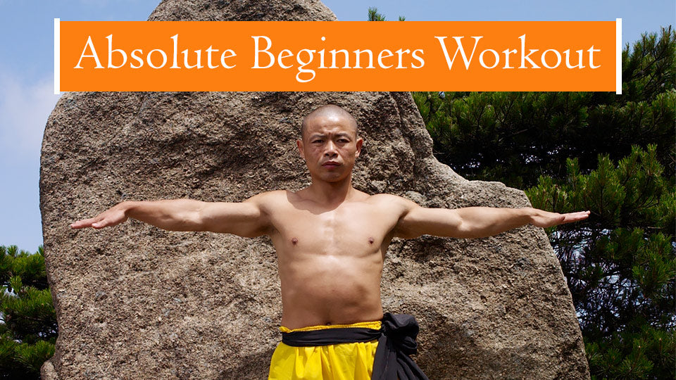 Absolute Beginners – Shifu Yan Lei