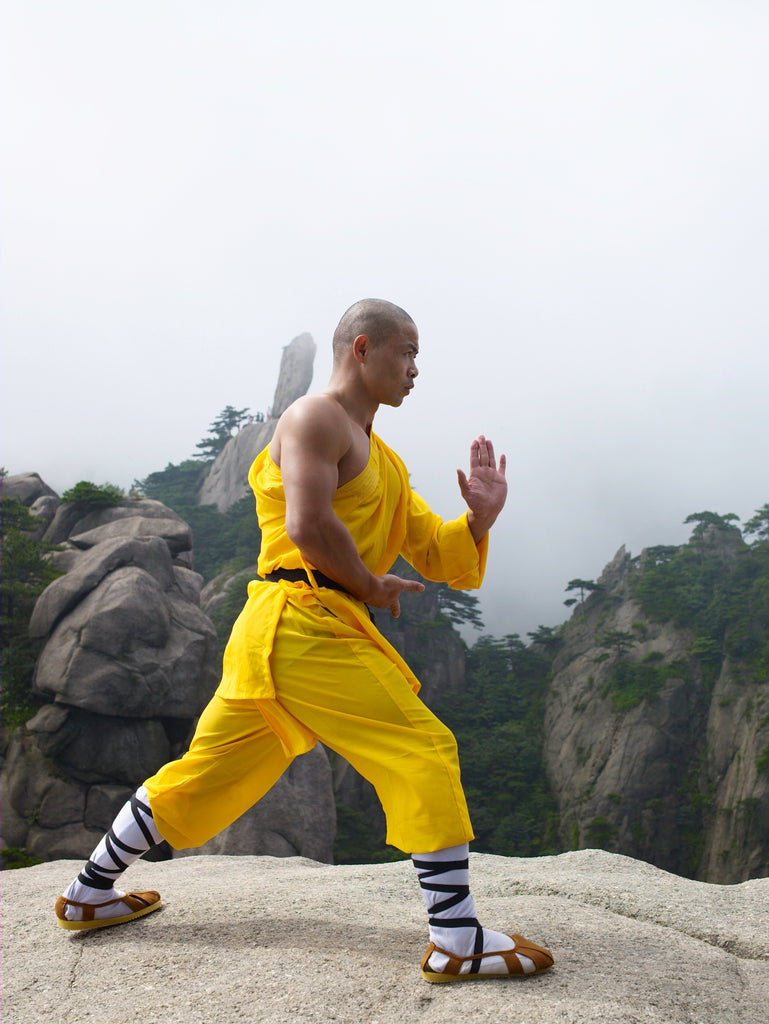 Transformation 1 – Shifu Yan Lei