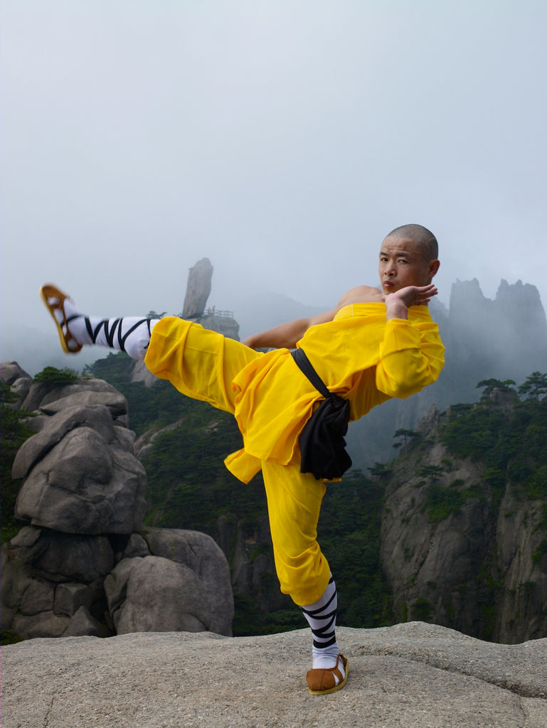 Transformation 1 – Shifu Yan Lei