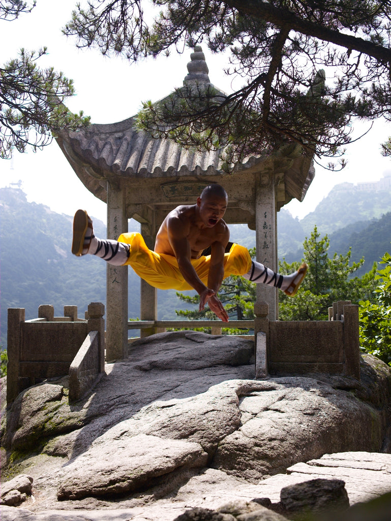 Transformation 1 – Shifu Yan Lei